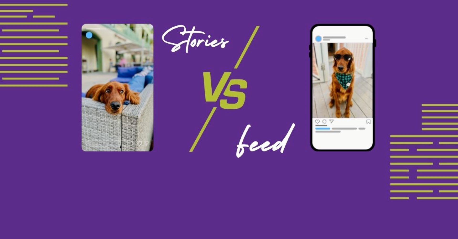 Instagram Stories vs. Feed: Choosing the Right Platform for Your Event ...